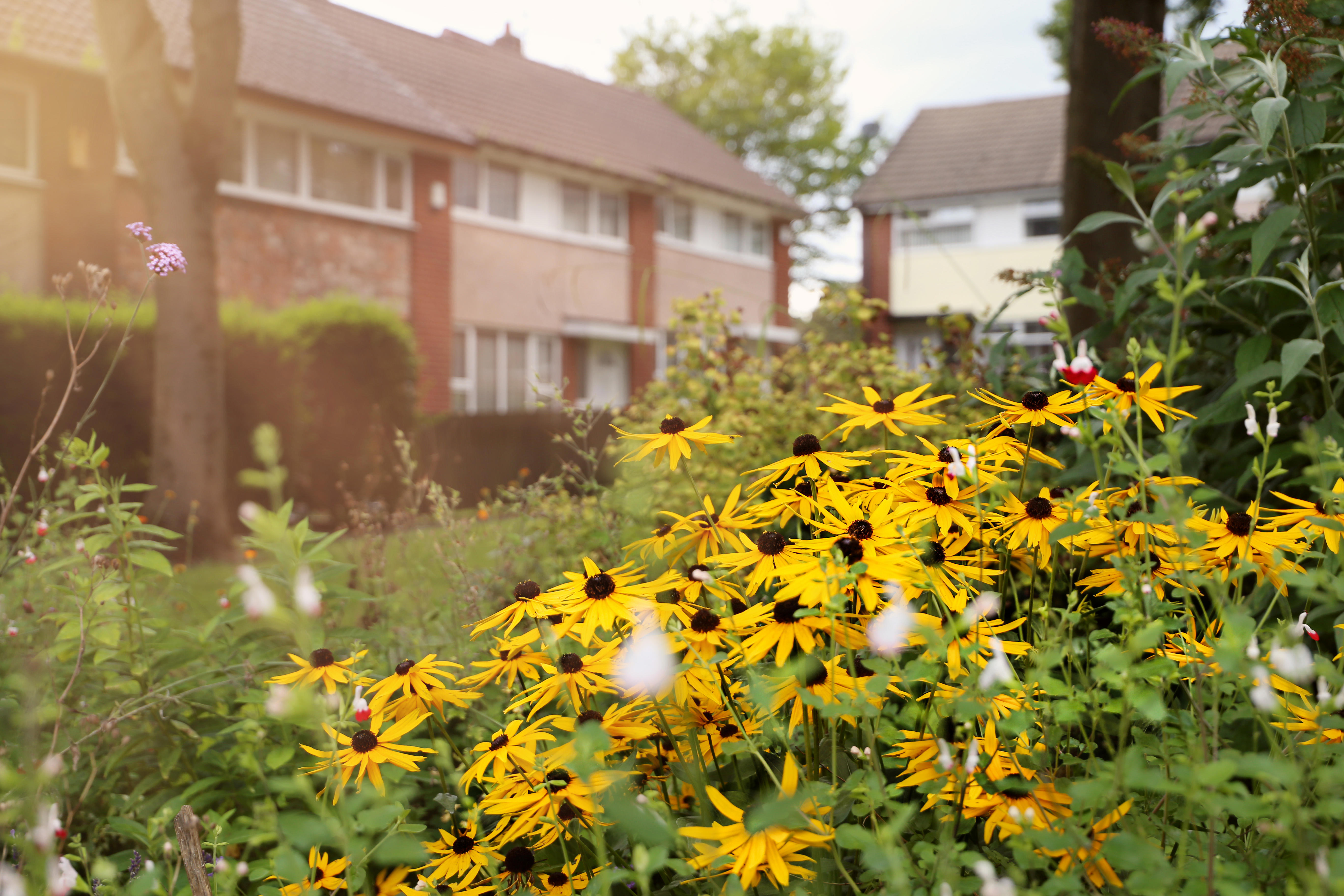 The Strand Community Hub | RBH